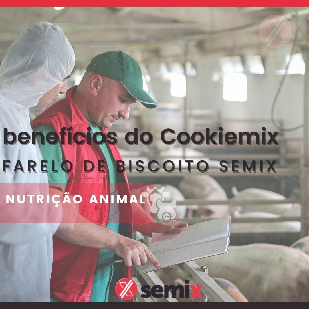 Farelo de Biscoito Semix